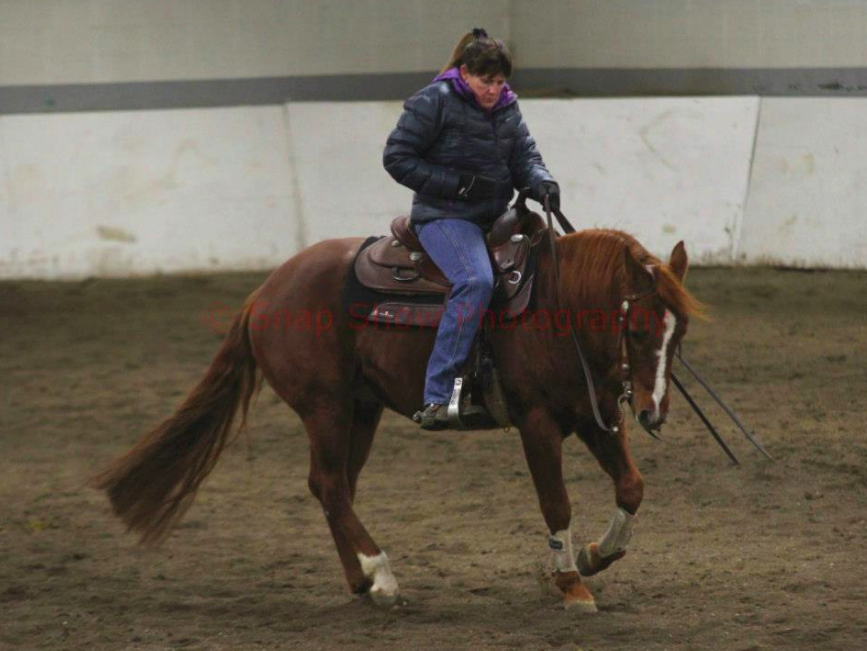 Western Reins: Four Ways to Hold Your Reins – HYLEE TRAINING