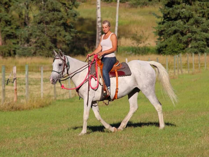 Western Reins: Four Ways to Hold Your Reins – HYLEE TRAINING