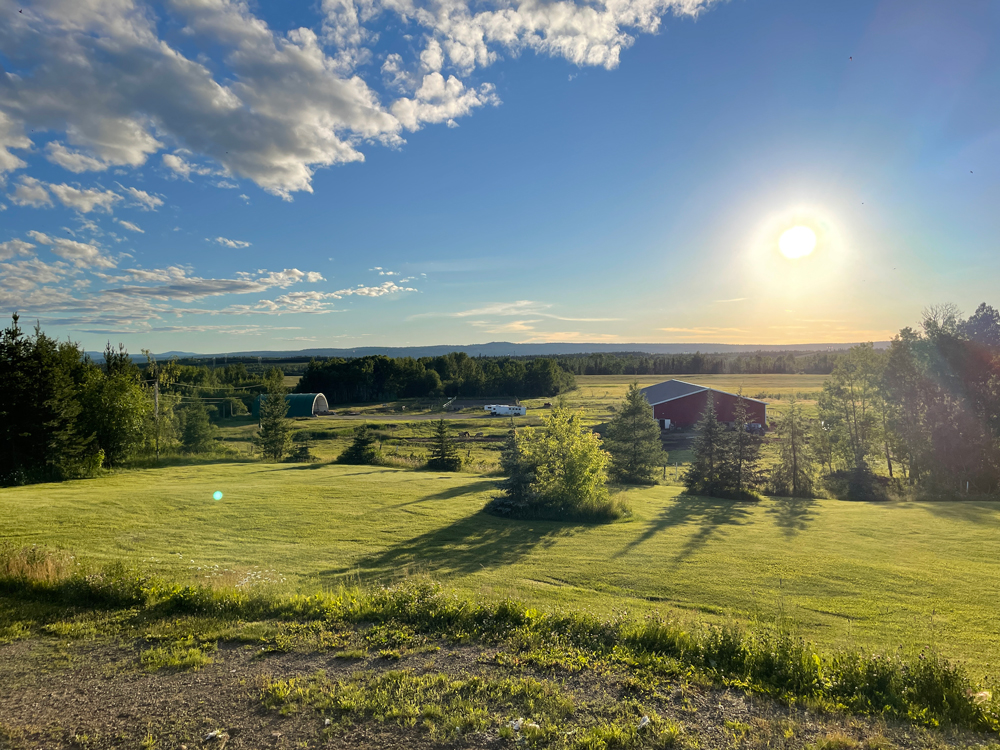 Horse Boarding – HYLEE TRAINING