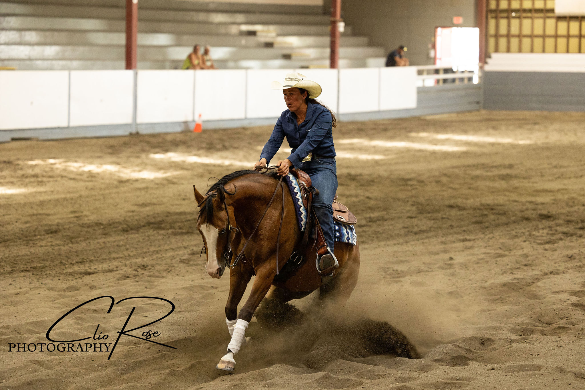 Horse Training – Hylee Training