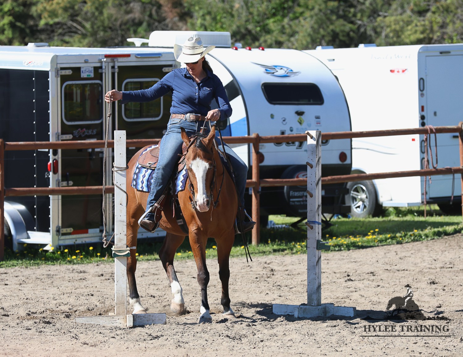 Intermediate Riding Lessons – HYLEE TRAINING
